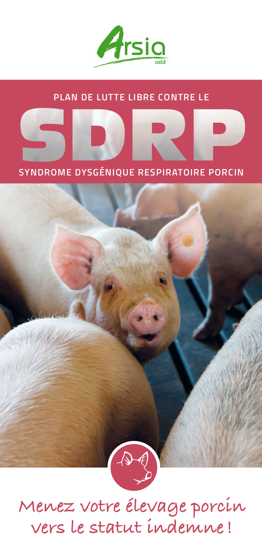 Lutte contre le SDRP - Arsia asbl