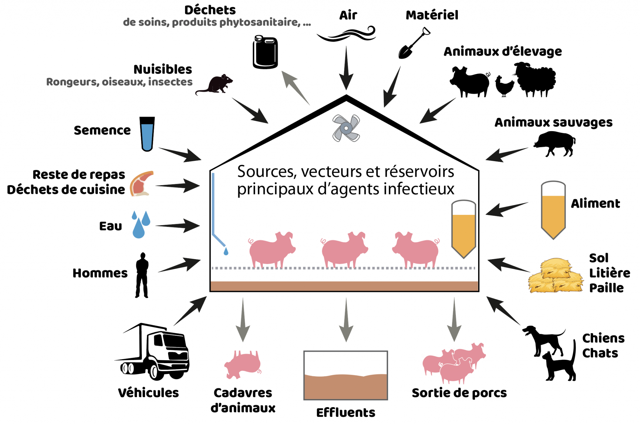 Prévenir le Syndrome Dysgénésique & Respiratoire Porcin ( SDRP ...