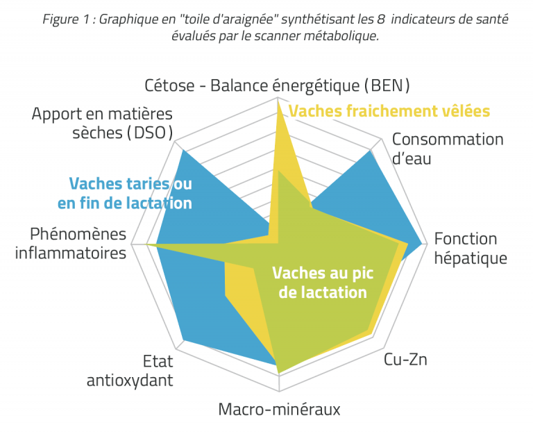 Scanner métabolique - Arsia asbl