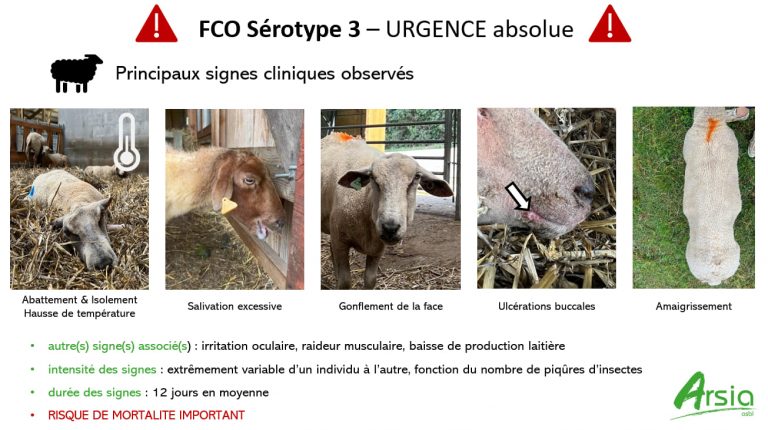 FCO-3: Urgence absolue! - Arsia asbl
